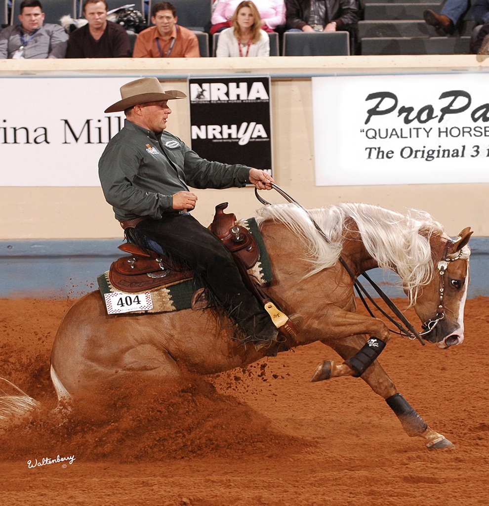 Shawn Flarida | Stallgrazer 3-in-1 Horse Feeders