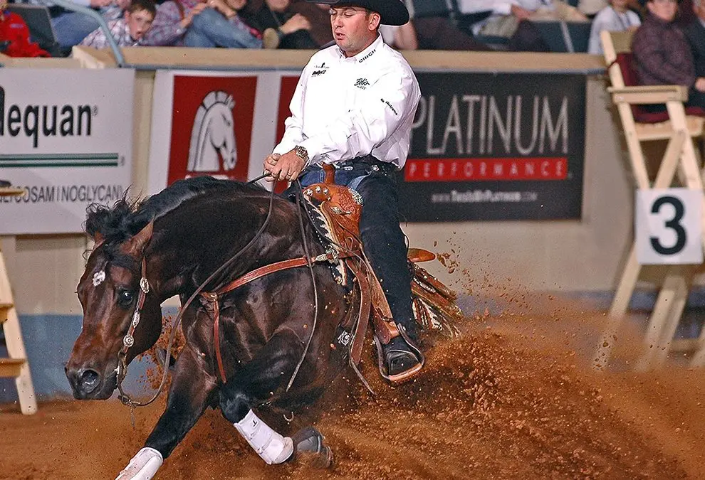 Million Dollar Endorsers | Stallgrazer 3-in-1 Horse Feeders