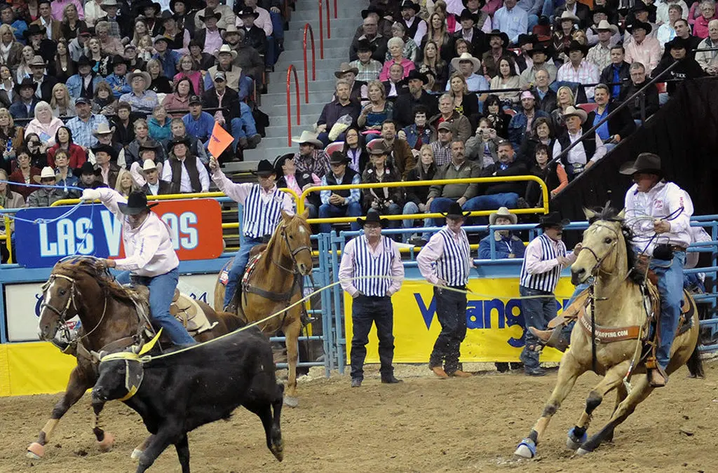 Million Dollar Endorsers | Stallgrazer 3-in-1 Horse Feeders