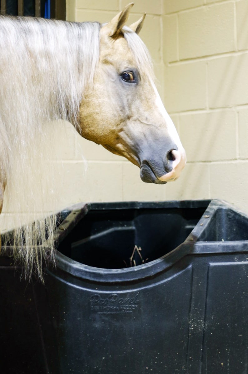 horse-stallgrazing | Stallgrazer 3-in-1 Horse Feeders