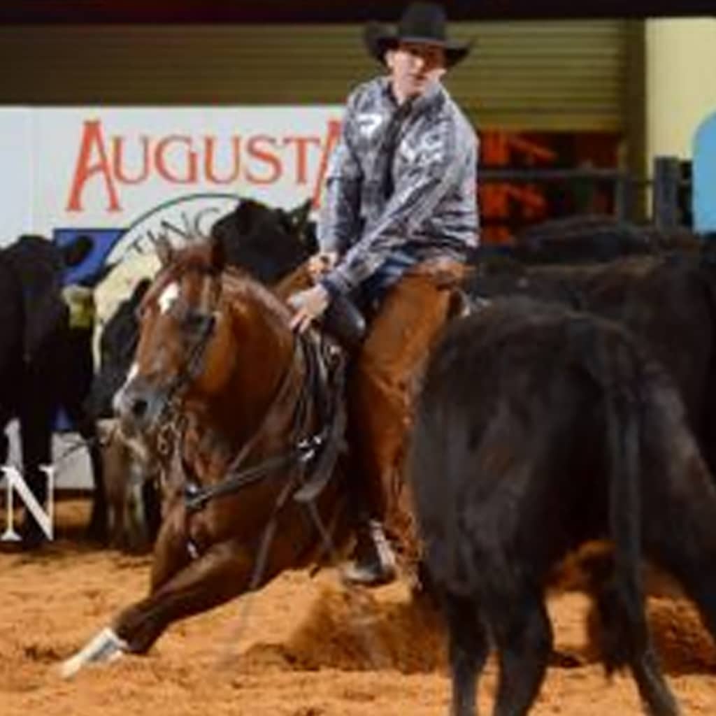 Tarin Rice | Stallgrazer 3-in-1 Horse Feeders