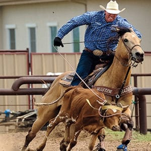 About | Stallgrazer 3-in-1 Horse Feeders