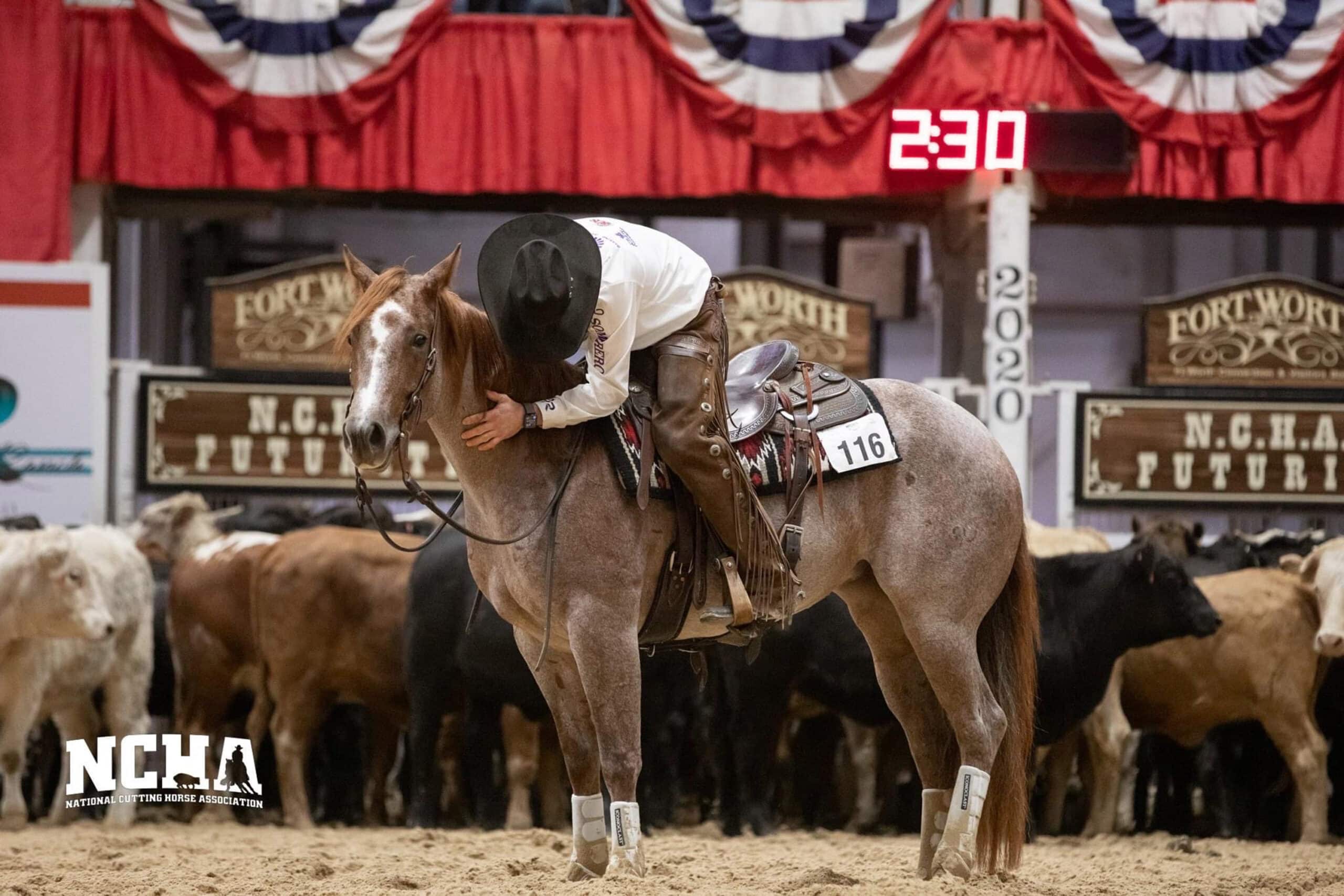 adan-banuelos-2 | Stallgrazer 3-in-1 Horse Feeders